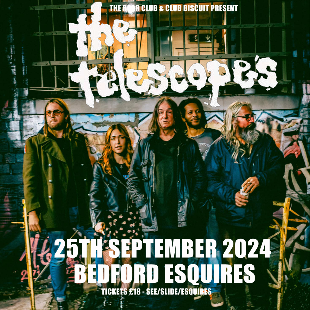 The Telescopes + Silent Rogues